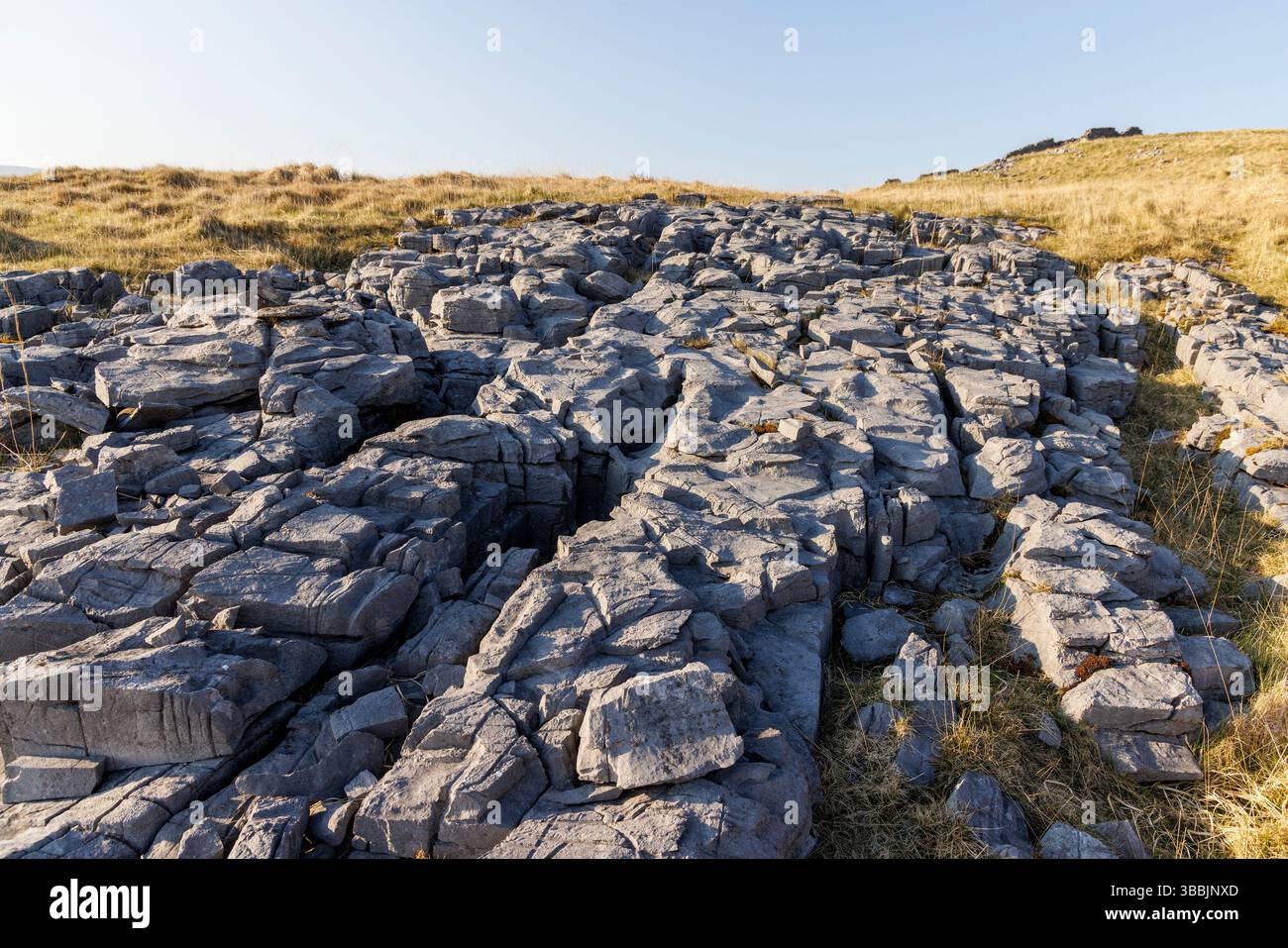 Limestone pavement, Ogof Ffynnon Ddu national nature reserve, Swansea ...