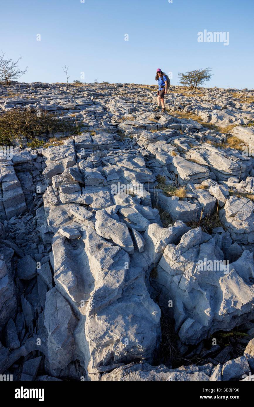 Limestone pavement, Ogof Ffynnon Ddu national nature reserve, Swansea ...