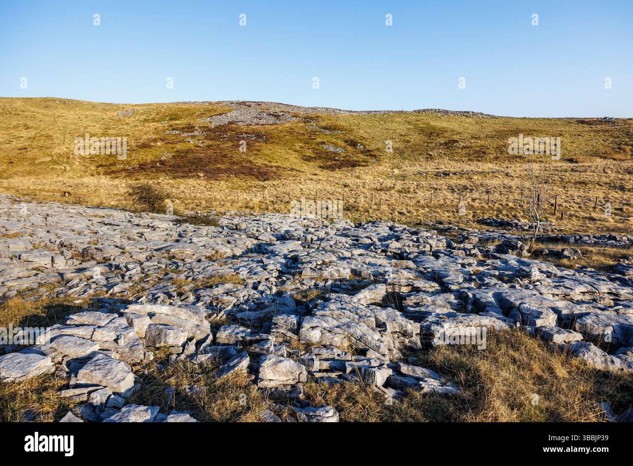 Limestone pavement, Ogof Ffynnon Ddu national nature reserve, Swansea ...