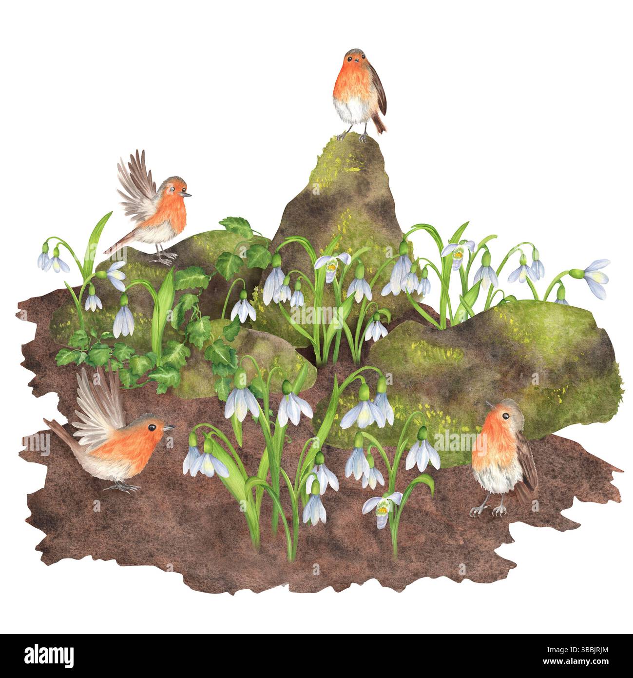 Garden scene with robin birds sitting on the mossy stones with green ...