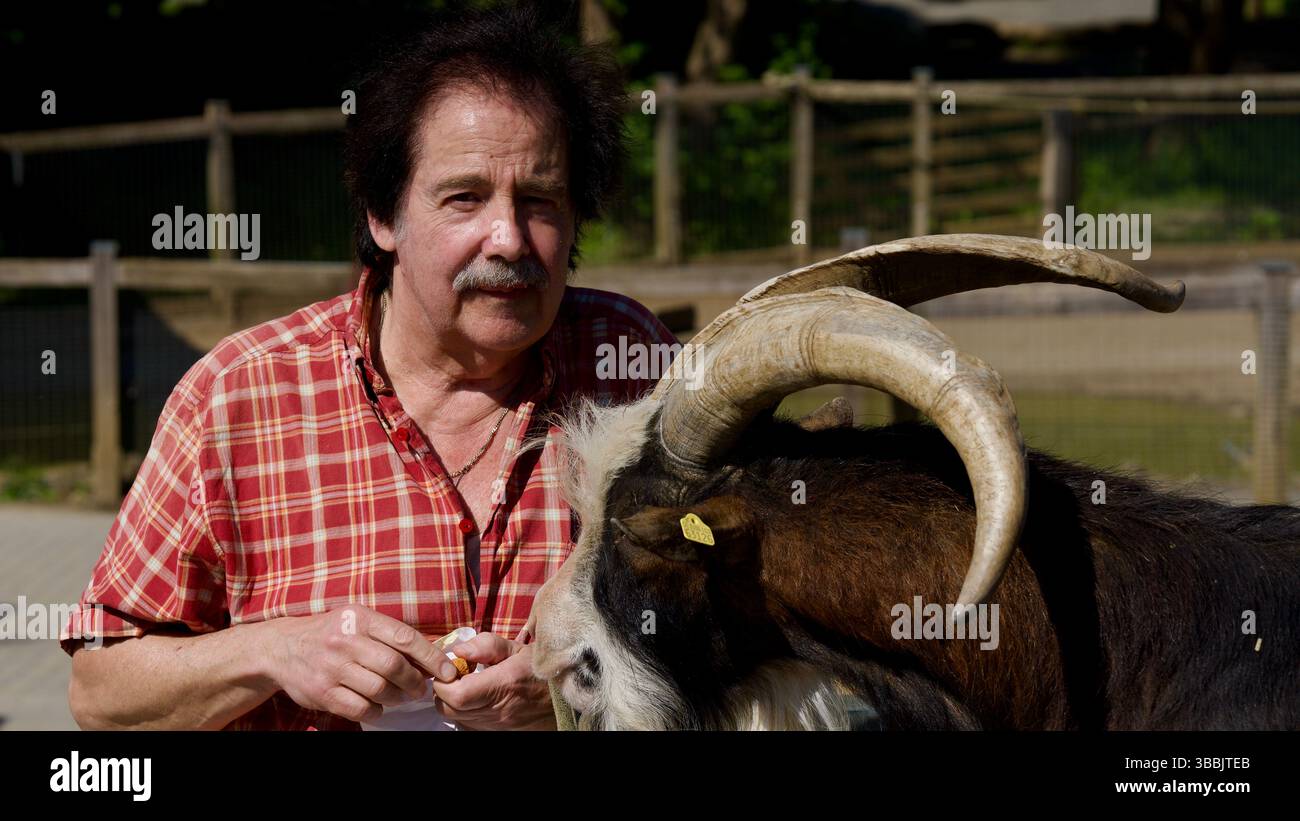 Man Wedding a goat in a zoo Stock Photo - Alamy
