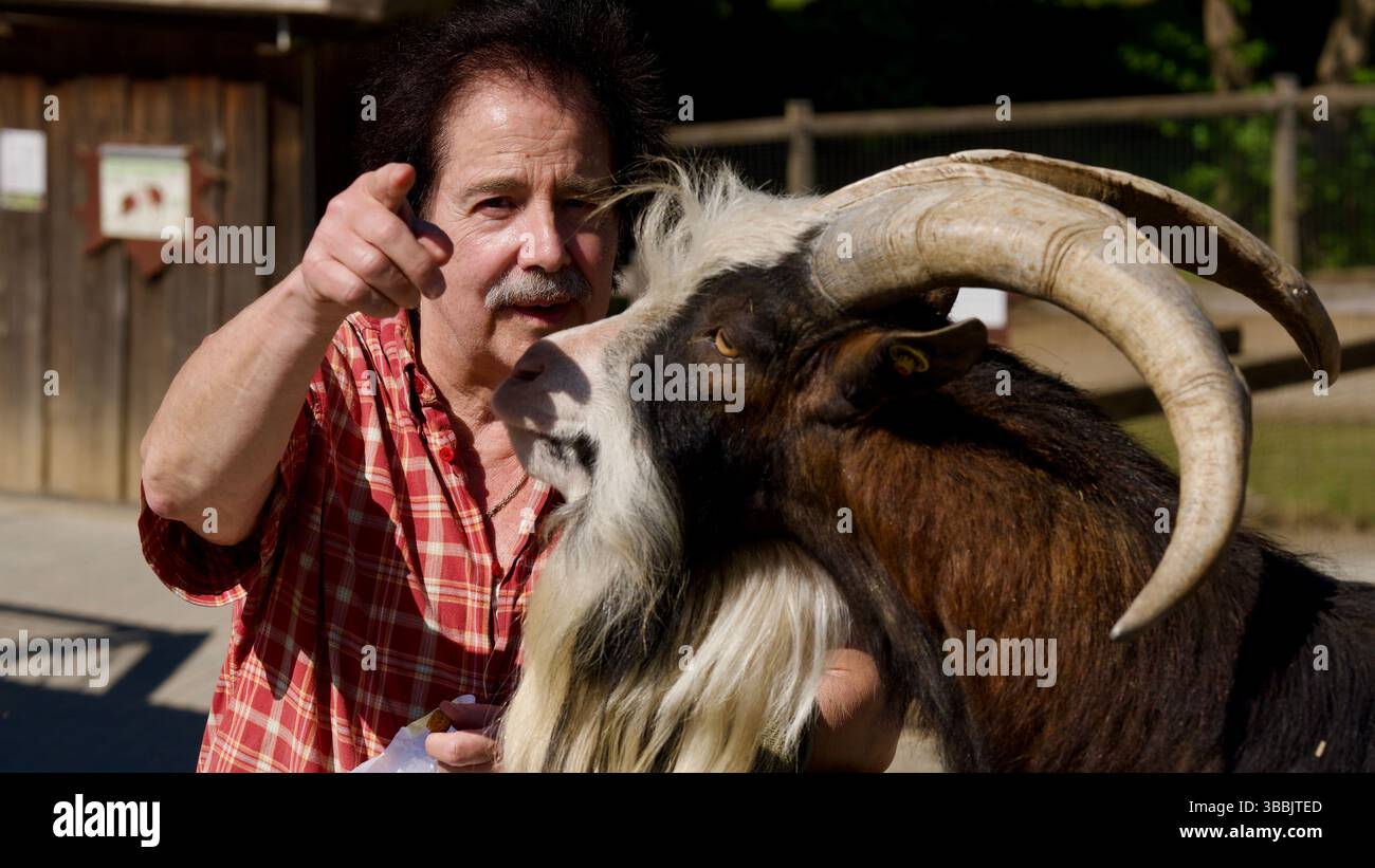 Man Wedding a goat in a zoo Stock Photo - Alamy