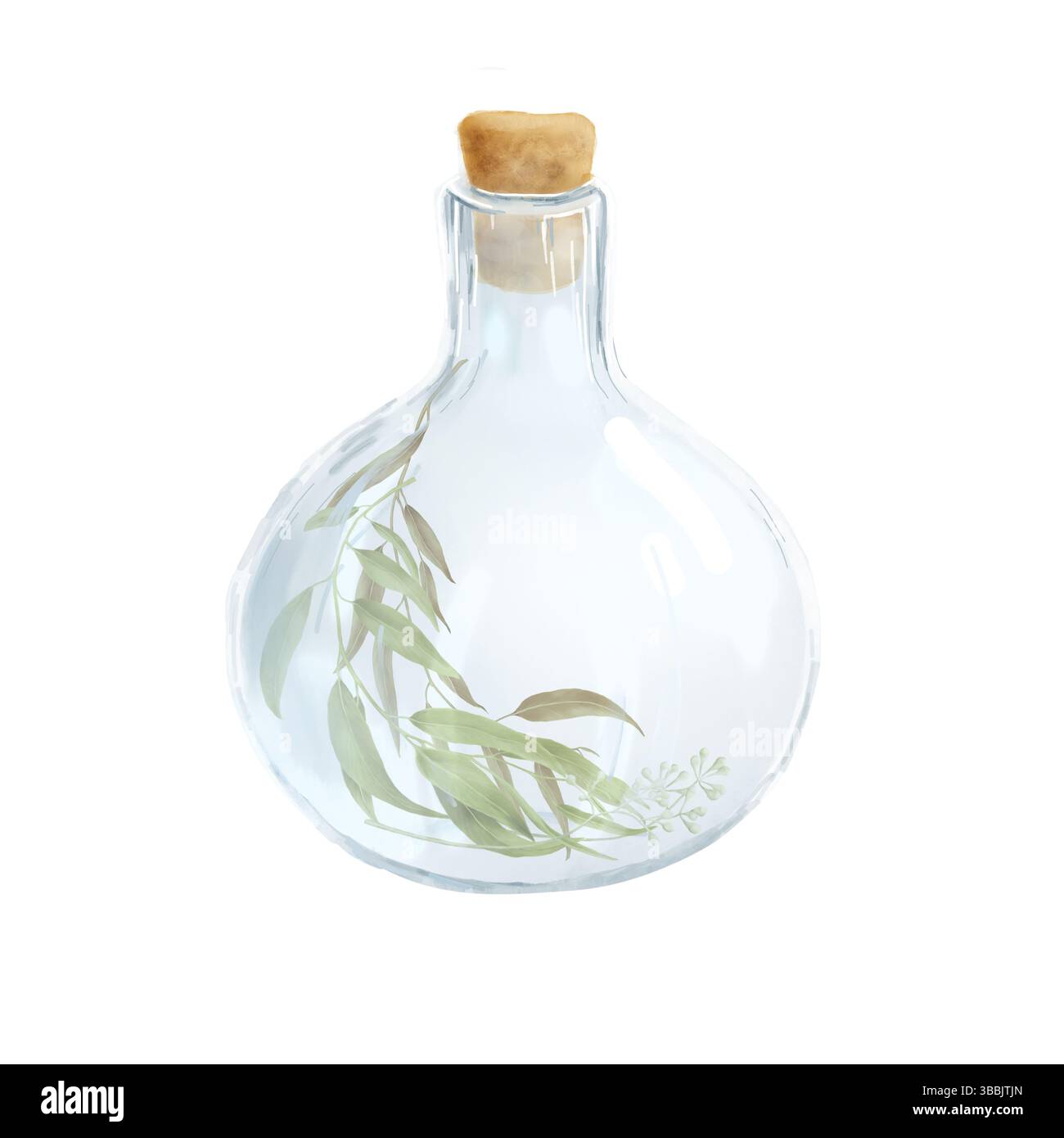 A clear glass flask with herbs inside. Watercolor illustration. A round ...