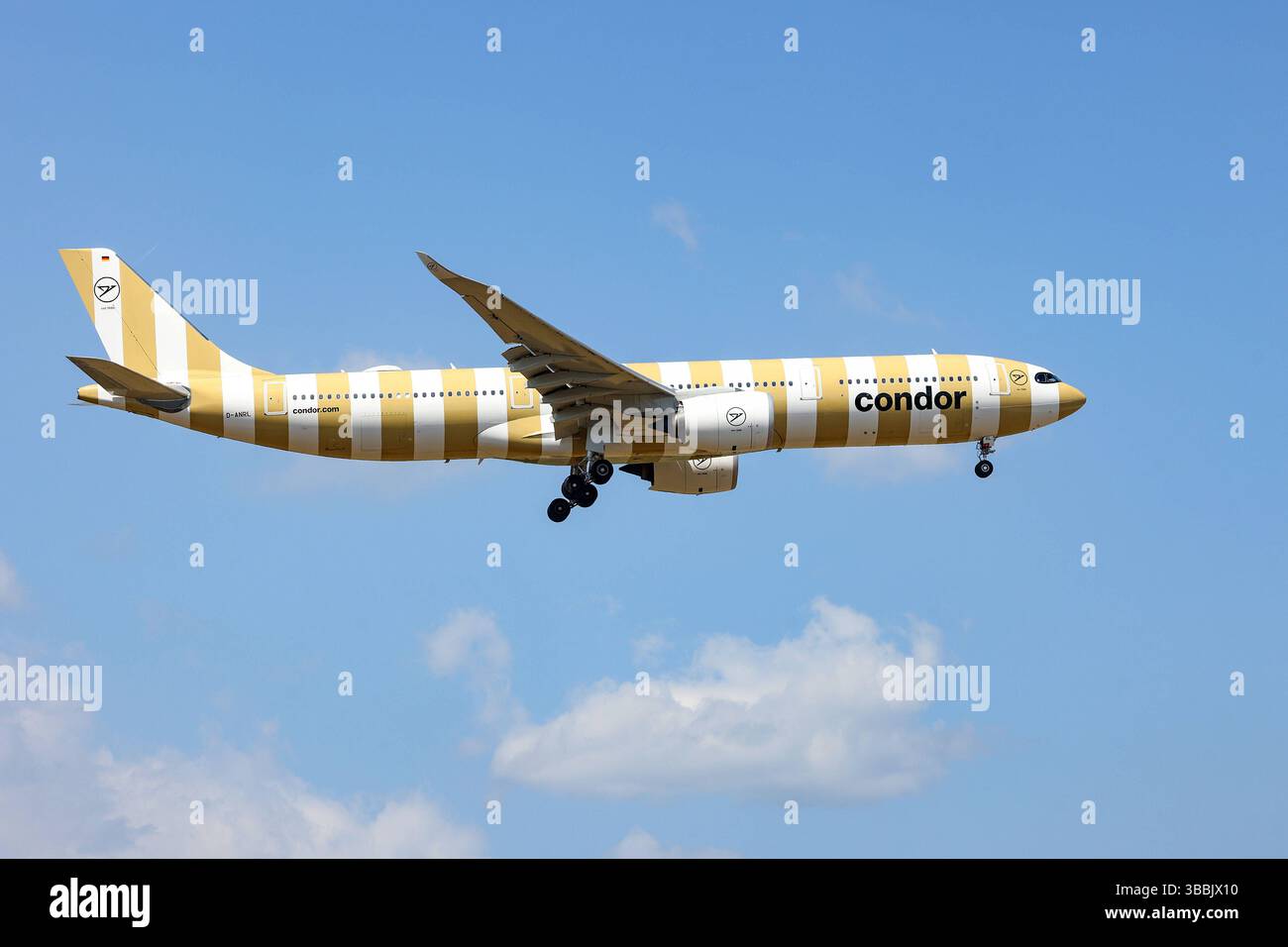 Ein Flugzeug der Fluggesellschaft Condor, Airbus A330-941, Kennung D ...
