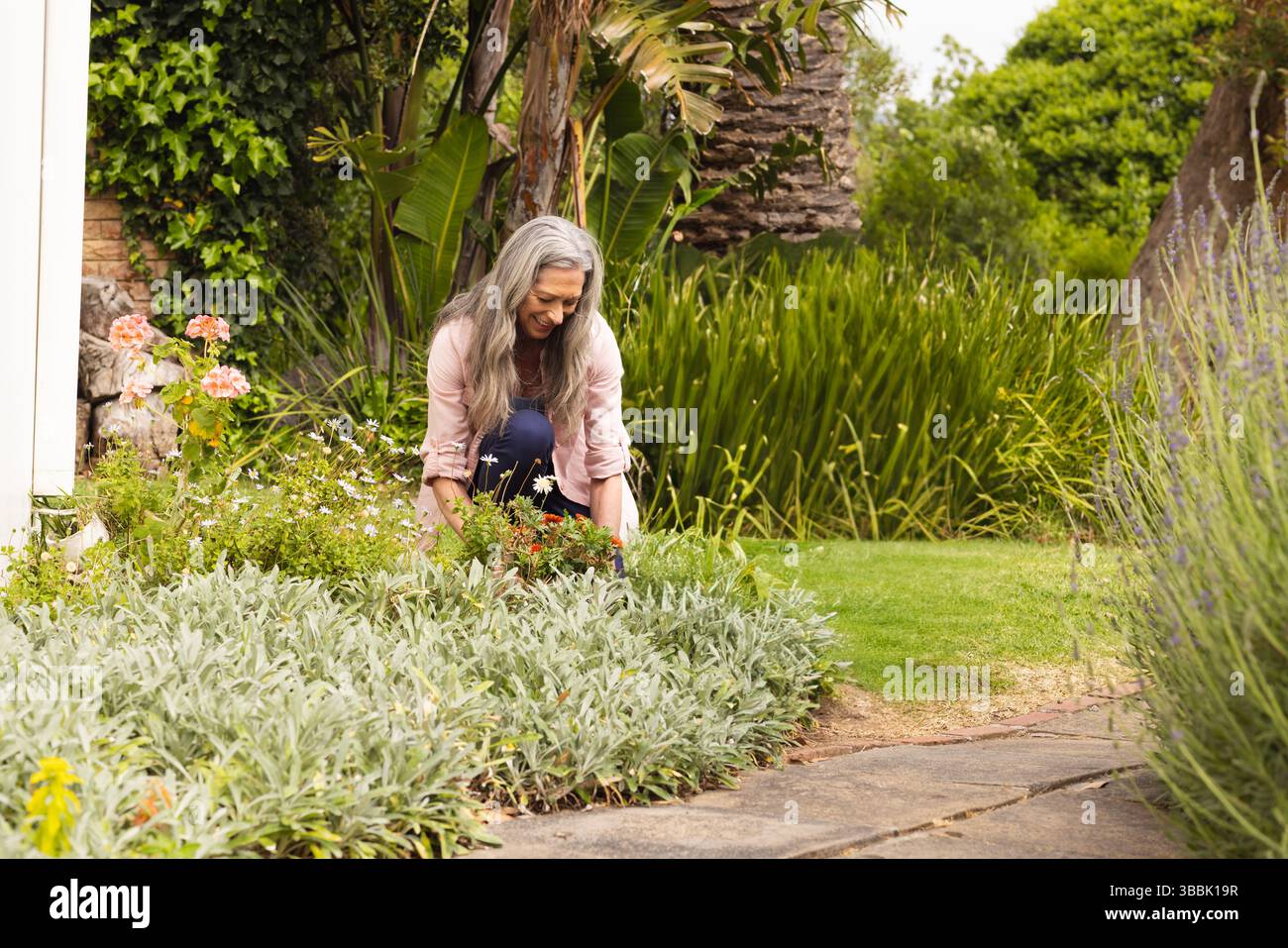 Kneeling senior woman tending garden plants in backyard, with flowering ...