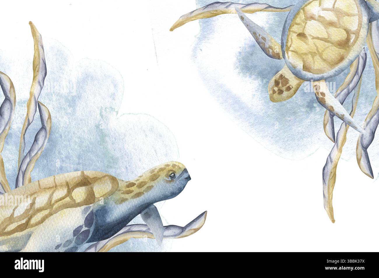 Deep sea banner template with big ocean turtles and seaweeds in blue ...