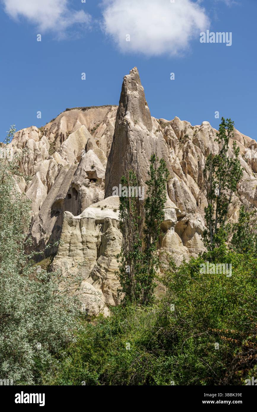 Tall jagged rock towers rise above green shrubs in Cappadocia's ...