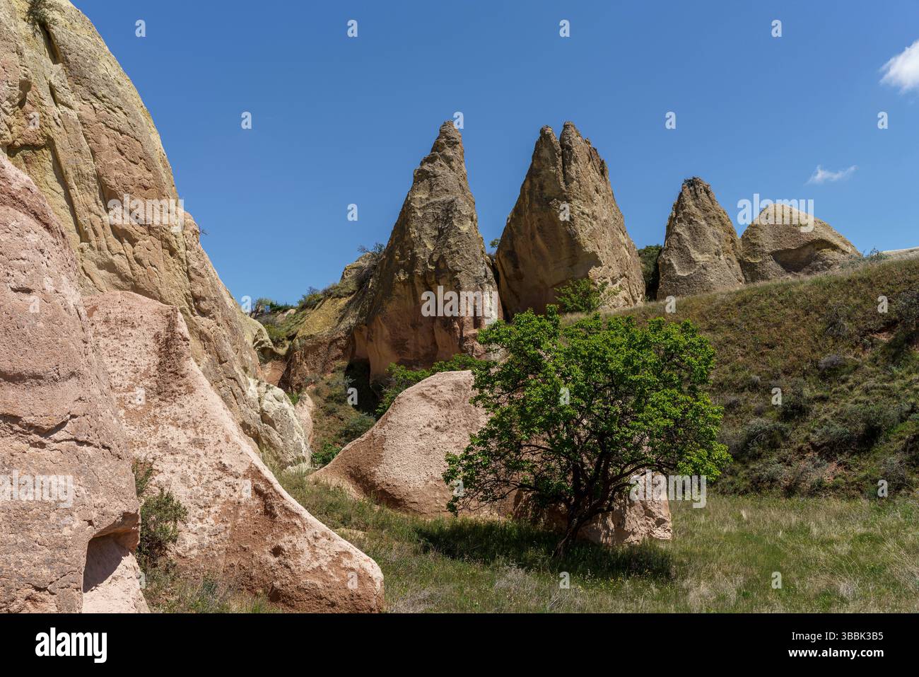 Jagged rock spires and green shrubs fill the landscape of Cappadocia's ...