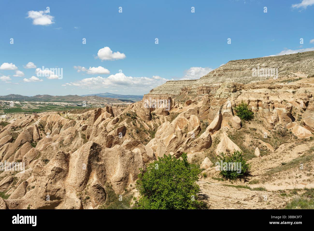 Sharp ridges and eroded rock towers rise above green shrubs in ...