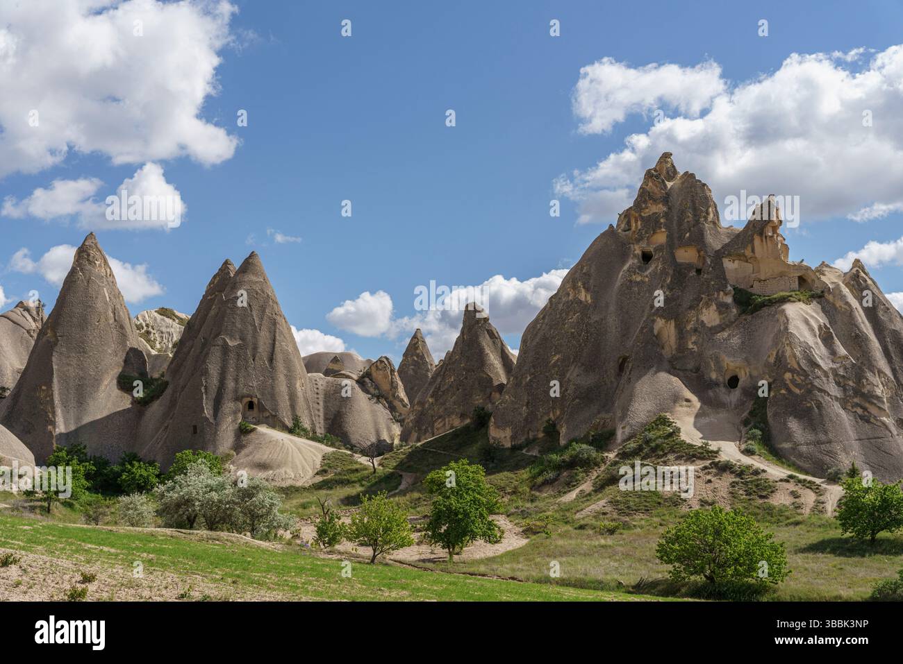 Groups of pointed rock towers and green bushes fill the valley floor in ...
