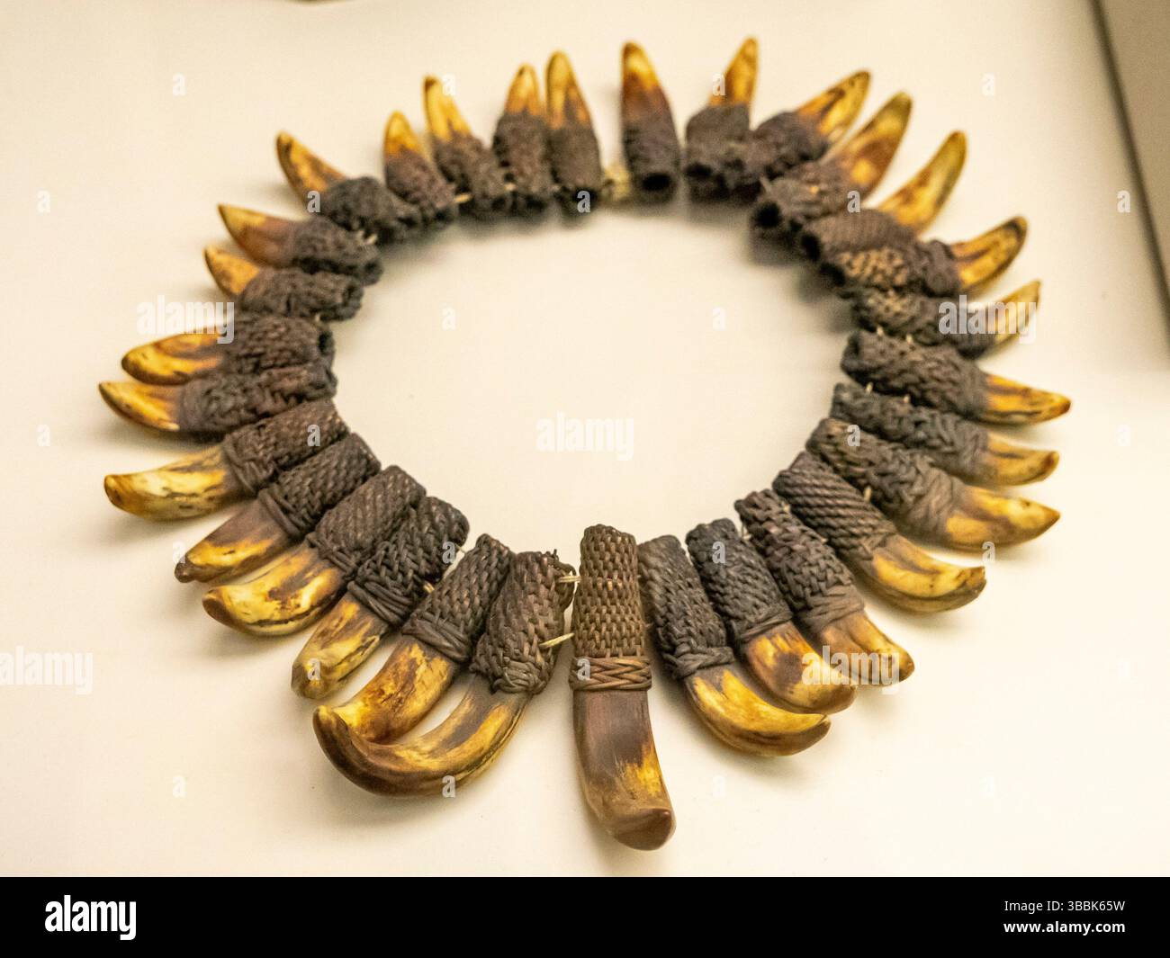 boar tusk necklace, Bontok Luzon mountain range, 19th century, tusks ...