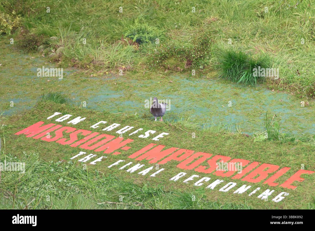 Pigeon, Mission: Impossible - The Final Reckoning - Global Premiere ...