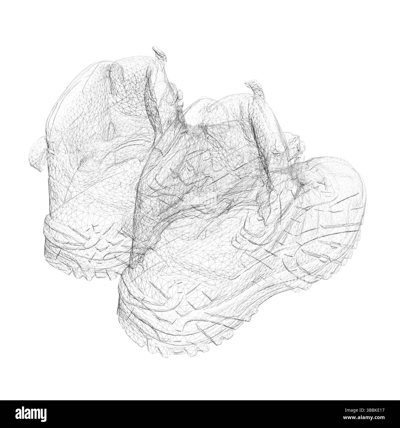 A pair of shoes wireframe. The shoes are black and white. 3D Stock ...