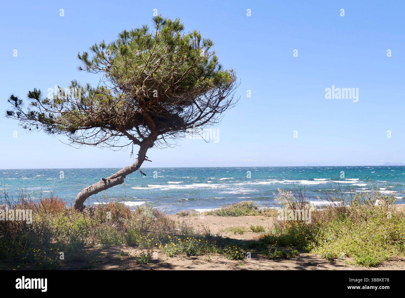Benamara hi-res stock photography and images - Alamy