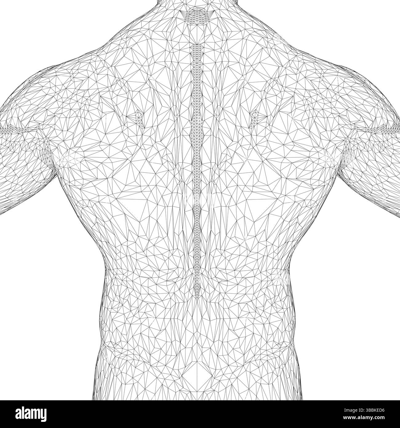 Bone covered Stock Vector Images - Alamy