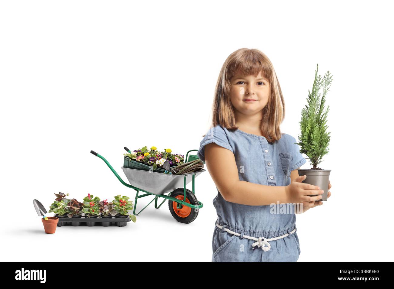 Little girl planting a small evergreen tree isolated on white ...