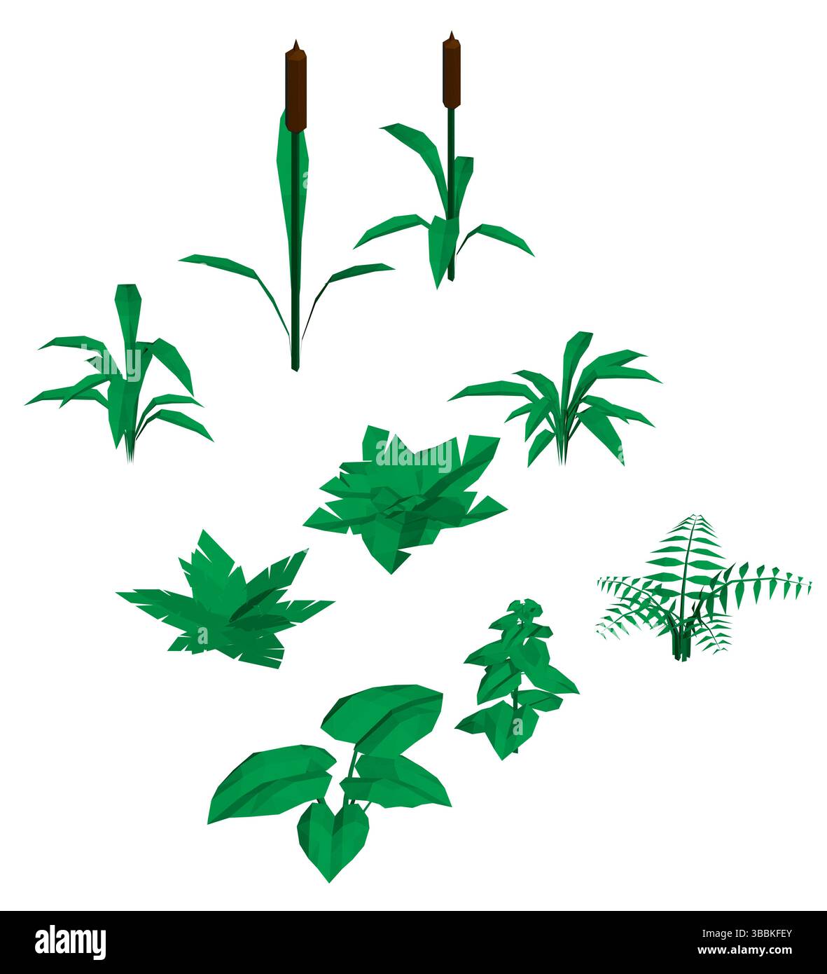 A collection of different types of plants, including ferns and grasses ...