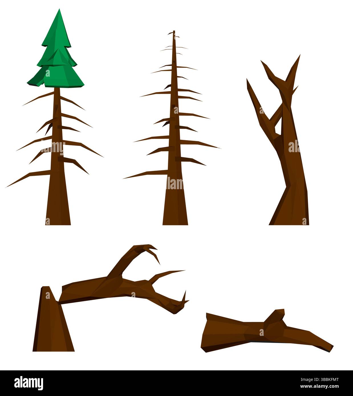 Green cedar wood branches Stock Vector Images - Alamy