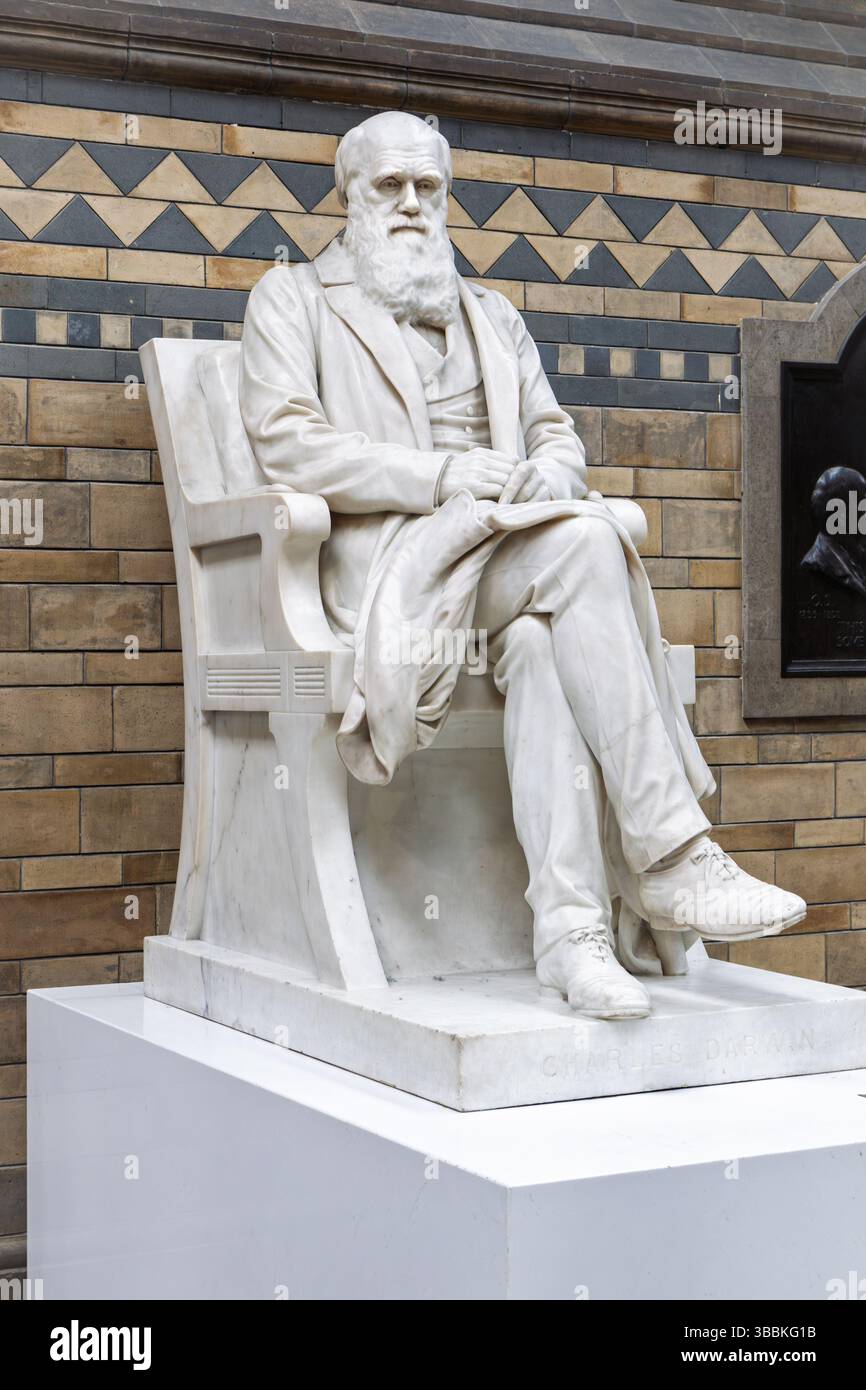 Statue of Charles Darwin in the central hall of the Natural History ...