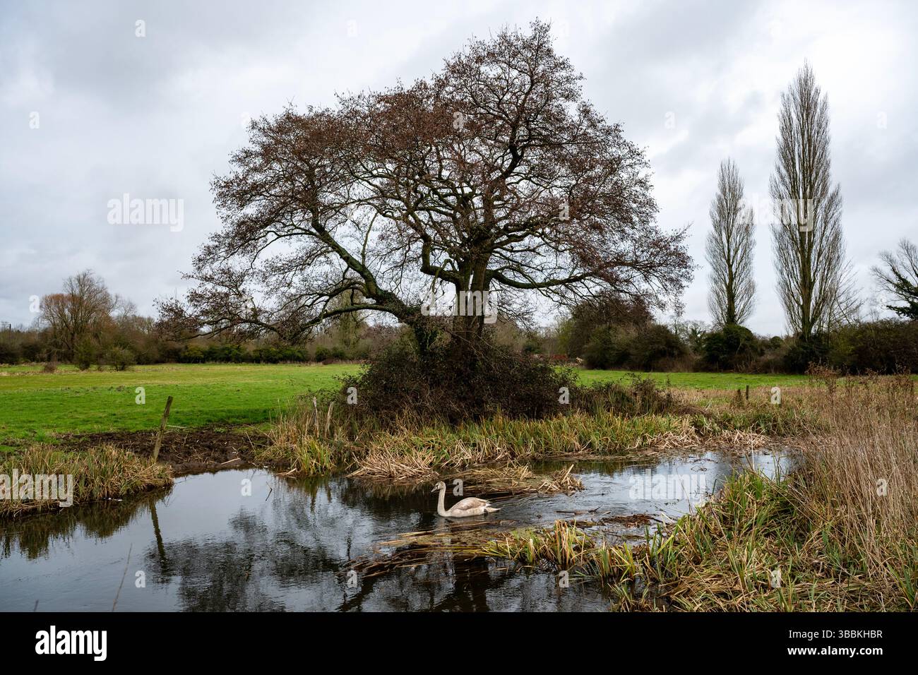 River Deben Ufford Suffolk UK Stock Photo - Alamy