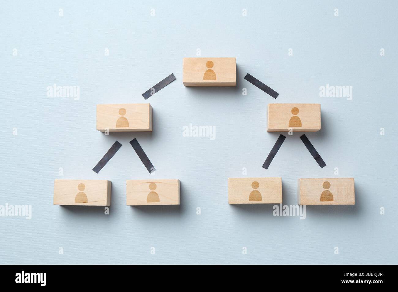 Human family tree chart hi-res stock photography and images - Alamy