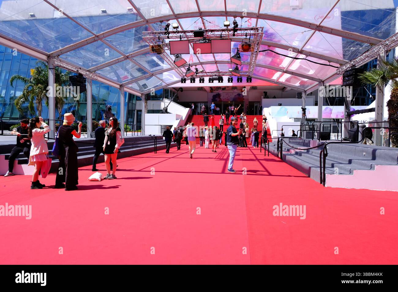 The famous red carpet during the 78th Cannes International Film ...