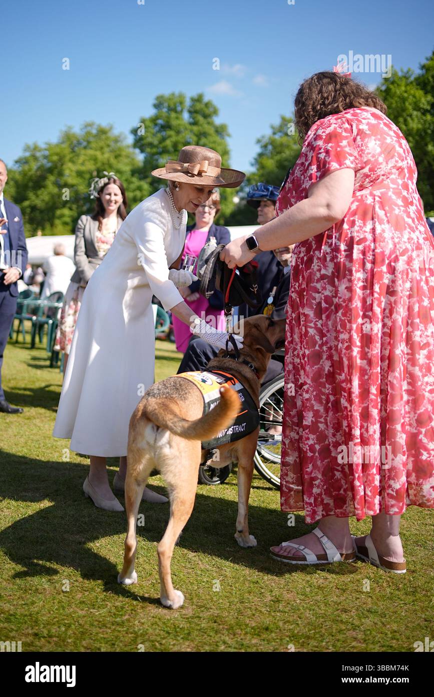 The Duchess of Gloucester strokes a Recovery Assistance Dog (RAD ...