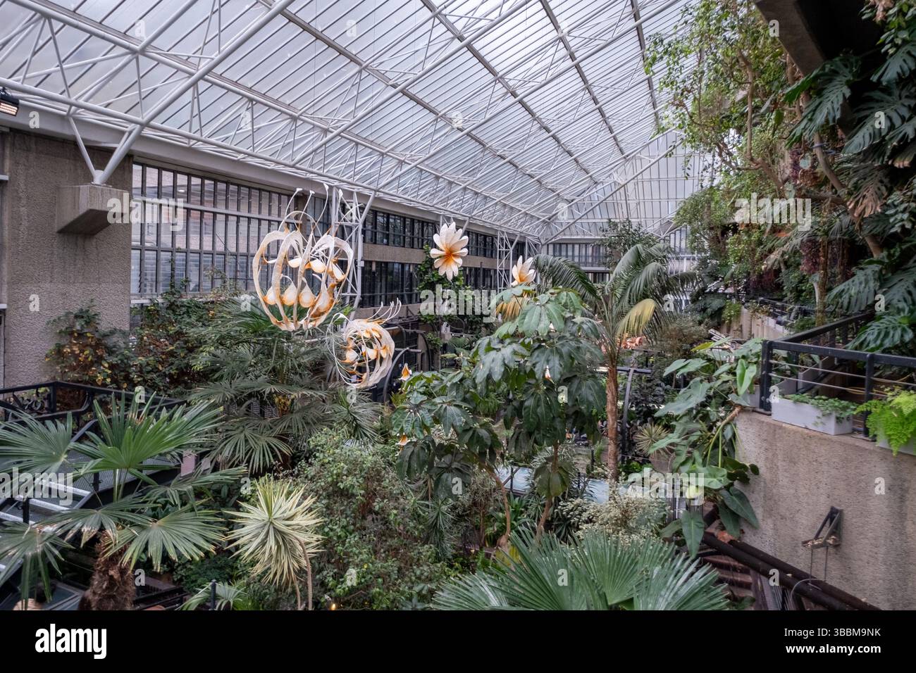 Inside the Barbican Conservatory Stock Photo - Alamy