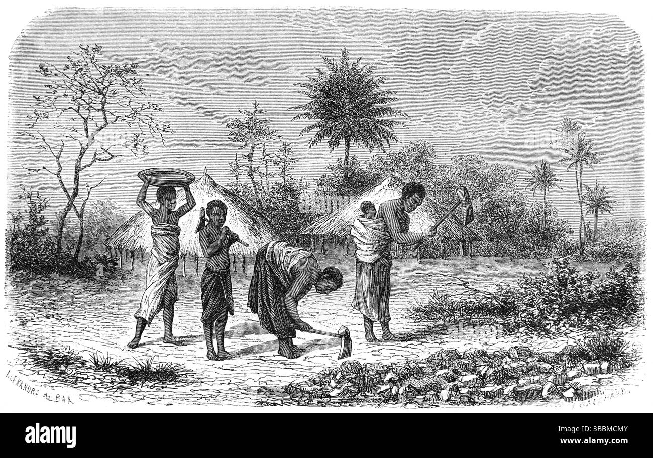 Peasant in fields Cut Out Stock Images & Pictures - Alamy