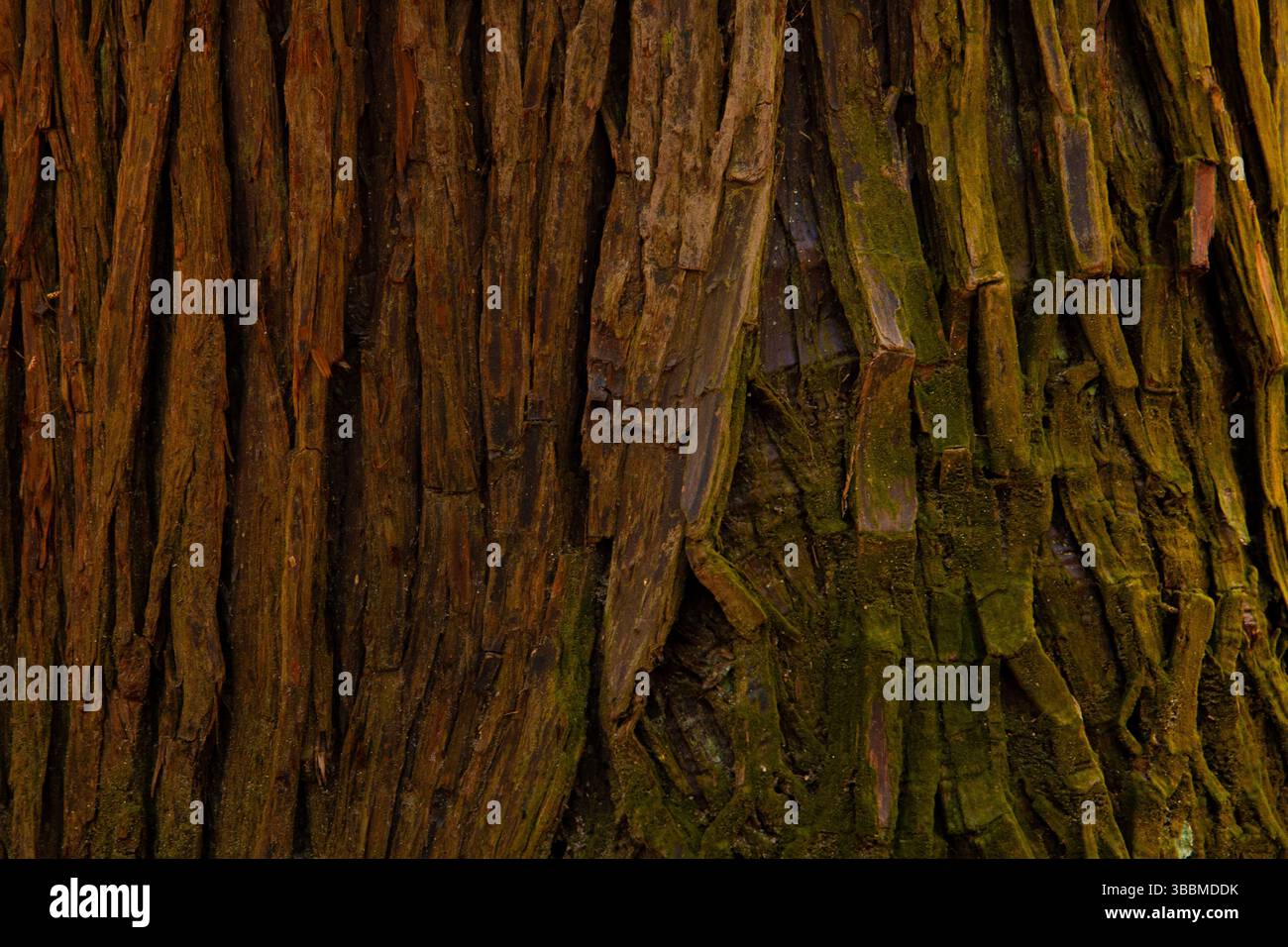 Textures in warm earthy tones hi-res stock photography and images - Alamy