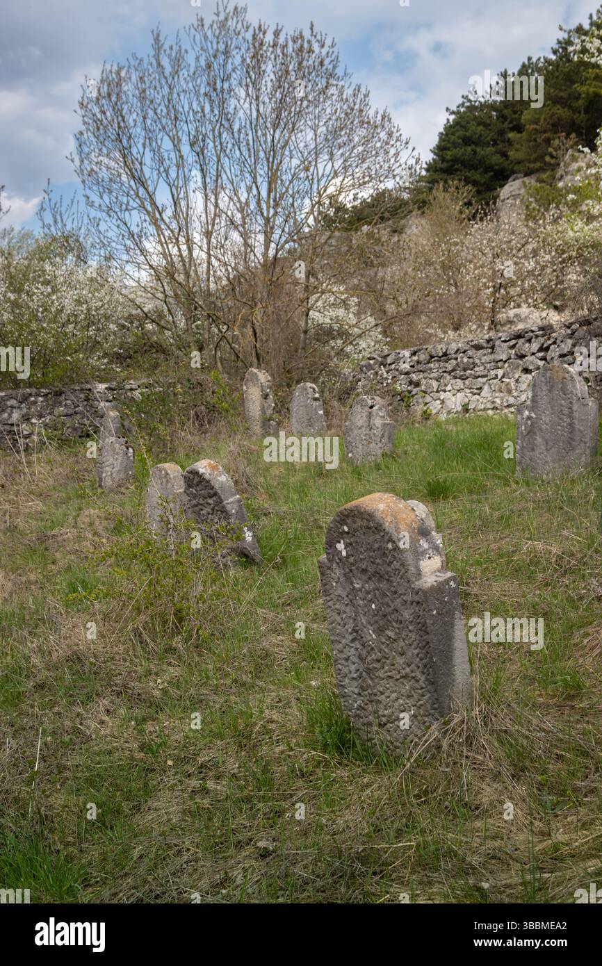 Old historical abandoned jewish cemetery and a spring nature. Blue sky ...