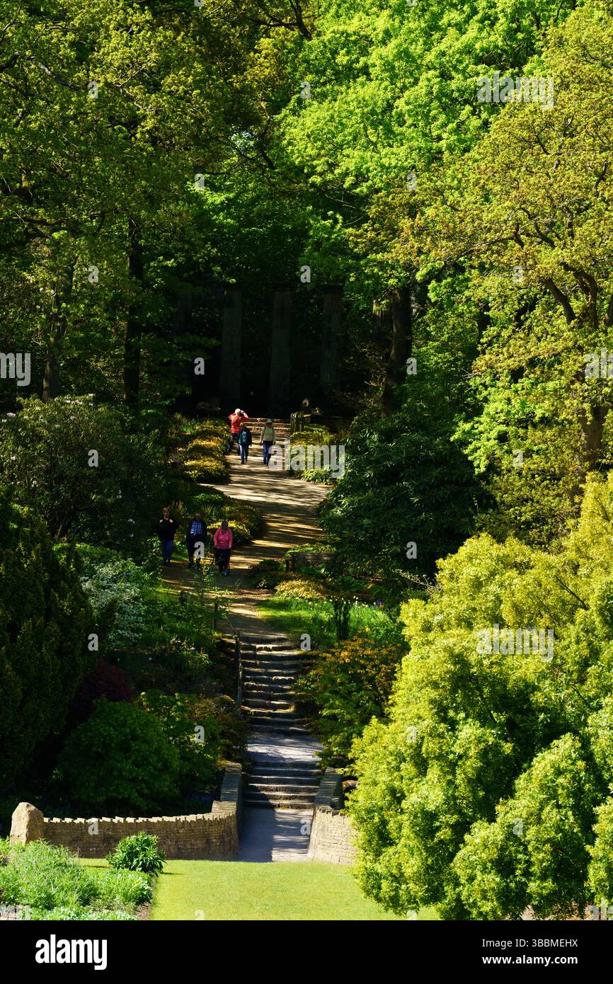 People climbing steps on a garden trail through thick foliage ...