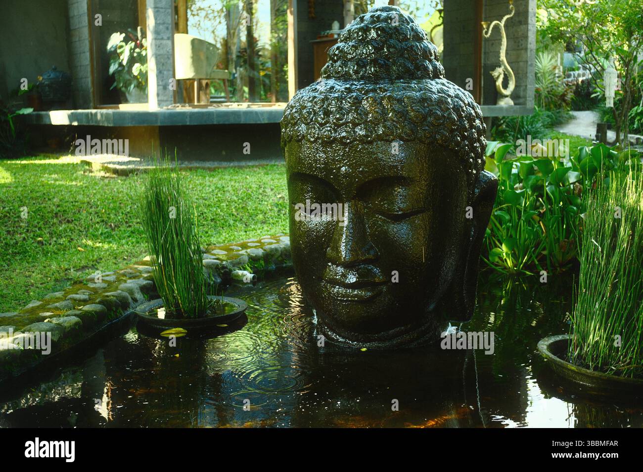 A Buddha head statue water fountain in a peaceful tropical garden pond ...