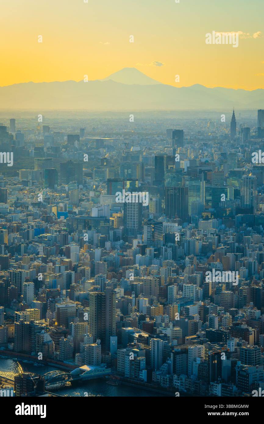 High-resolution photo of Tokyo cityscape taken from the Tokyo Skytree ...