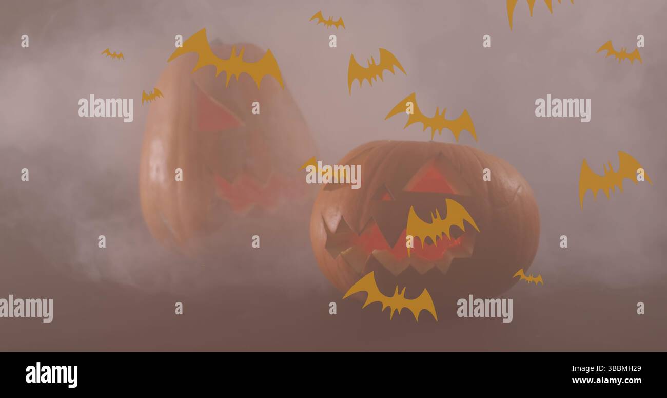 Playful bats hi-res stock photography and images - Alamy
