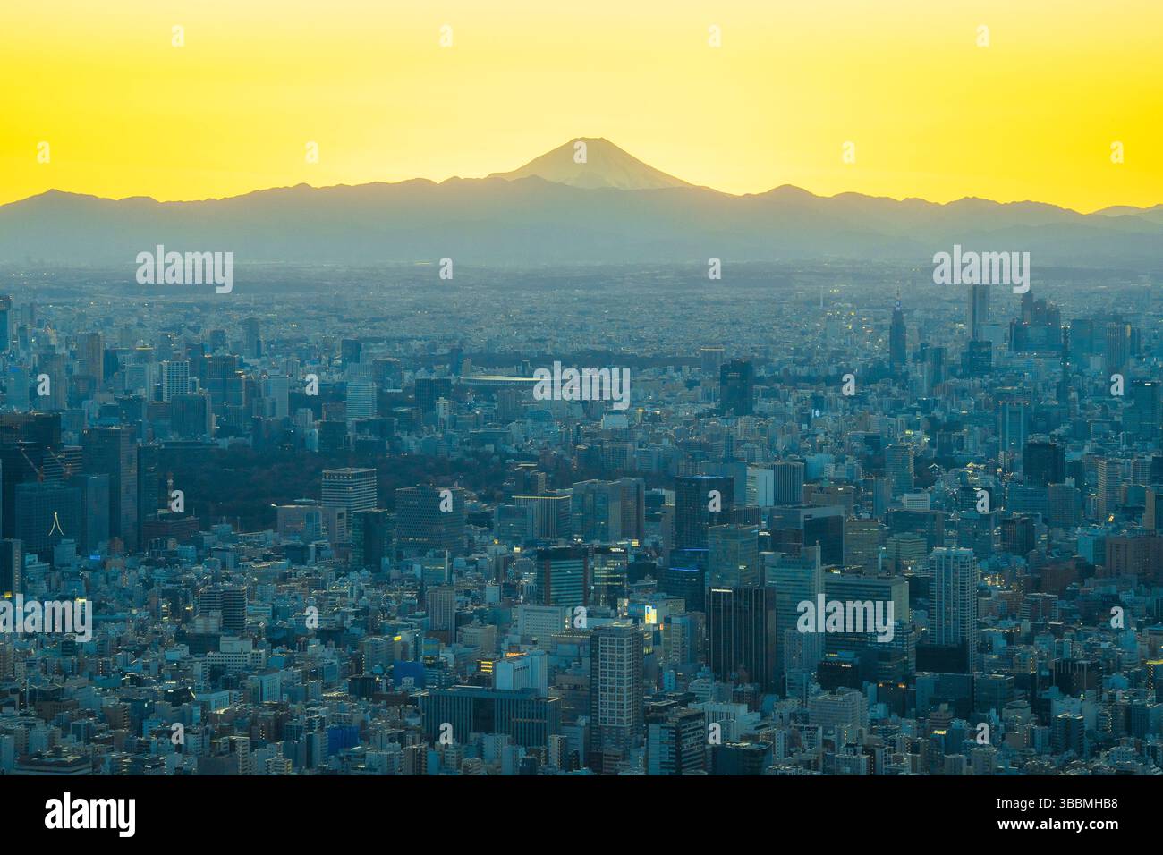 High-resolution photo of Tokyo cityscape taken from the Tokyo Skytree ...