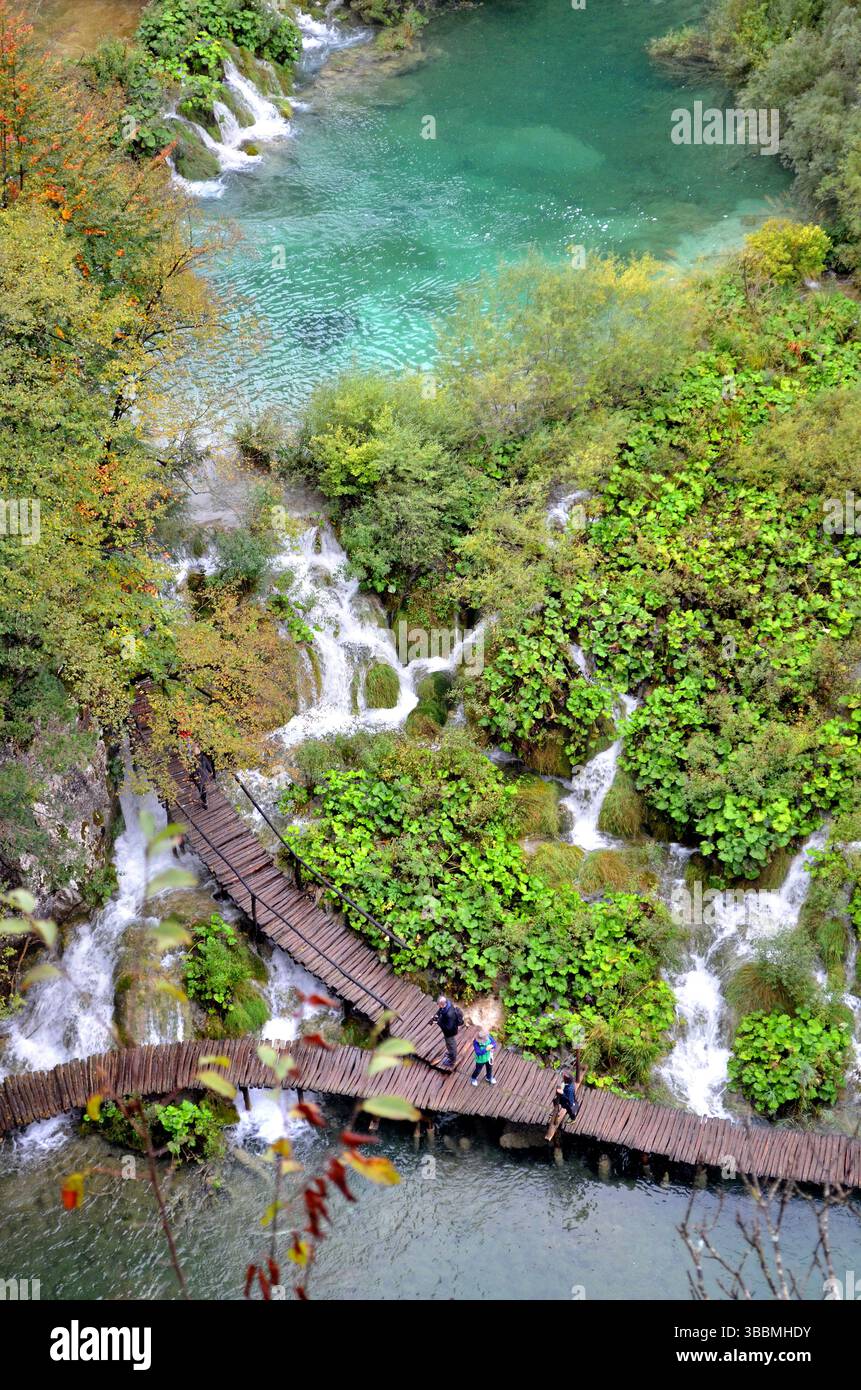 Scenic top-down view of lush greenery, multiple waterfalls, and a ...