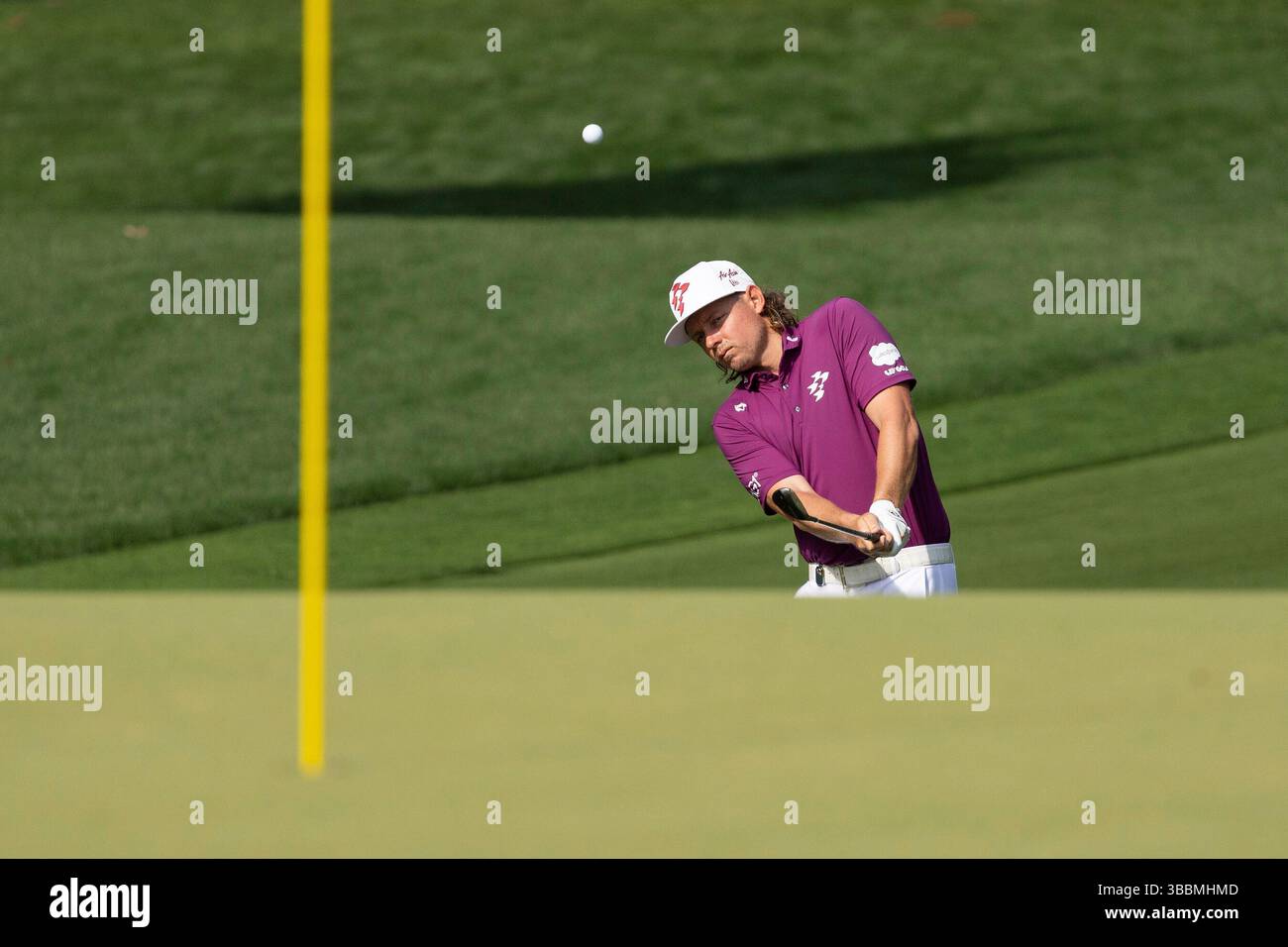 Captain Cameron Smith of Ripper GC chips his ball onto the 12th green ...