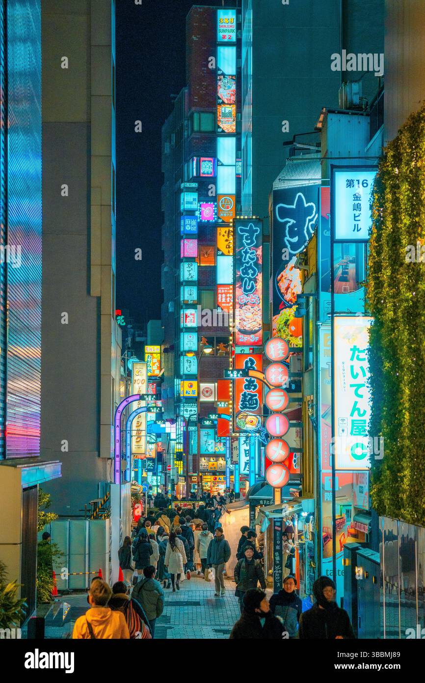 High-resolution photo of Tokyo cityscape taken from the Tokyo Skytree ...