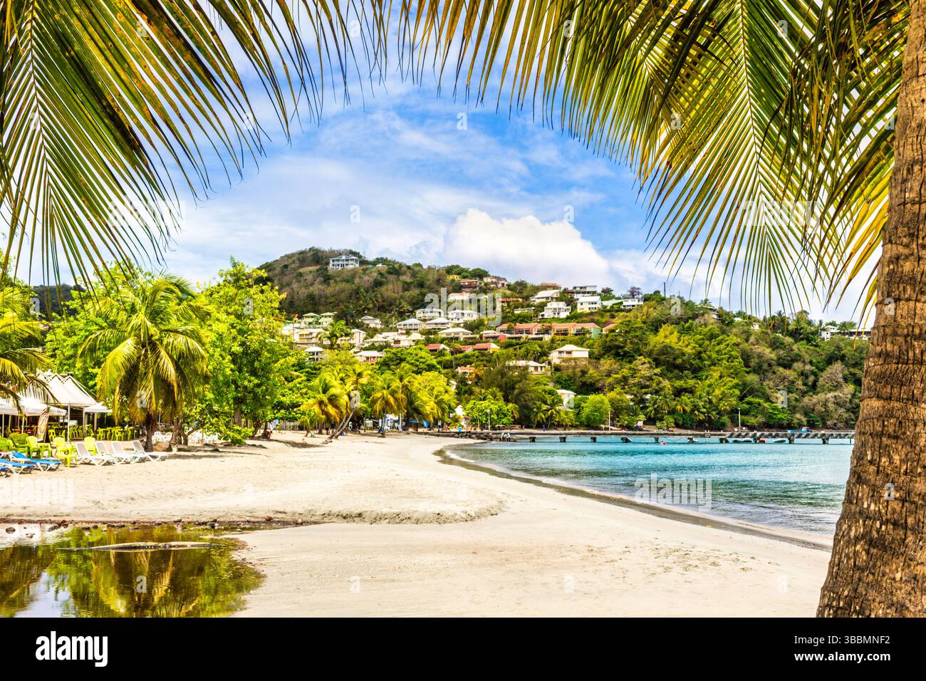 The beach of Anse a l'Ane, Trois Ilets, in Martinique, France Stock ...