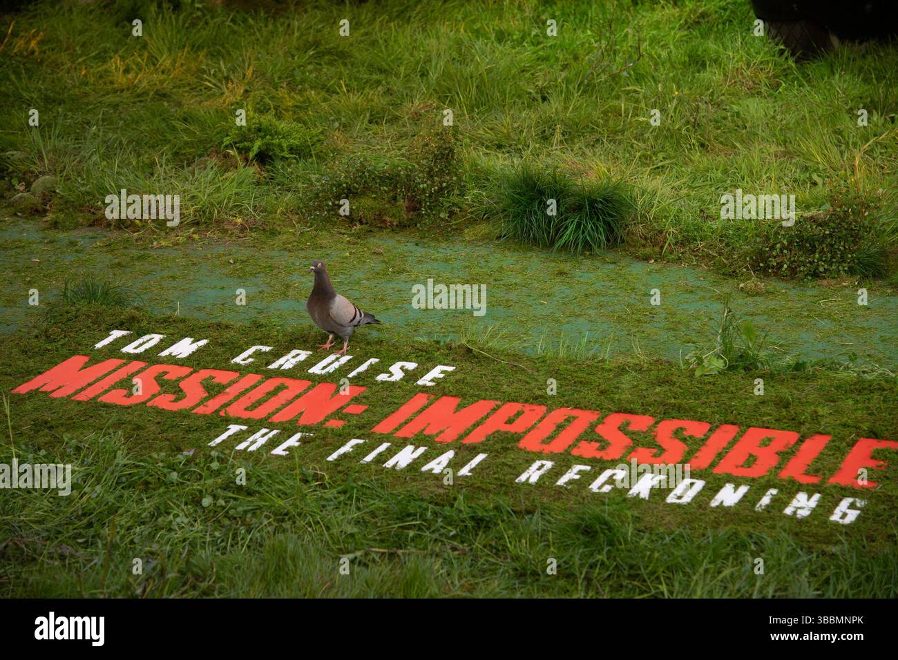 London, UK. 15 May, 2025. Pictured: A Pigeon attends The "Mission ...