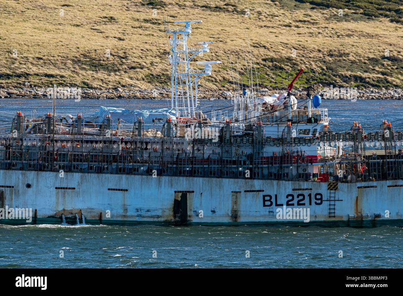 Port Stanley. Falkland Islands, South America Stock Photo - Alamy