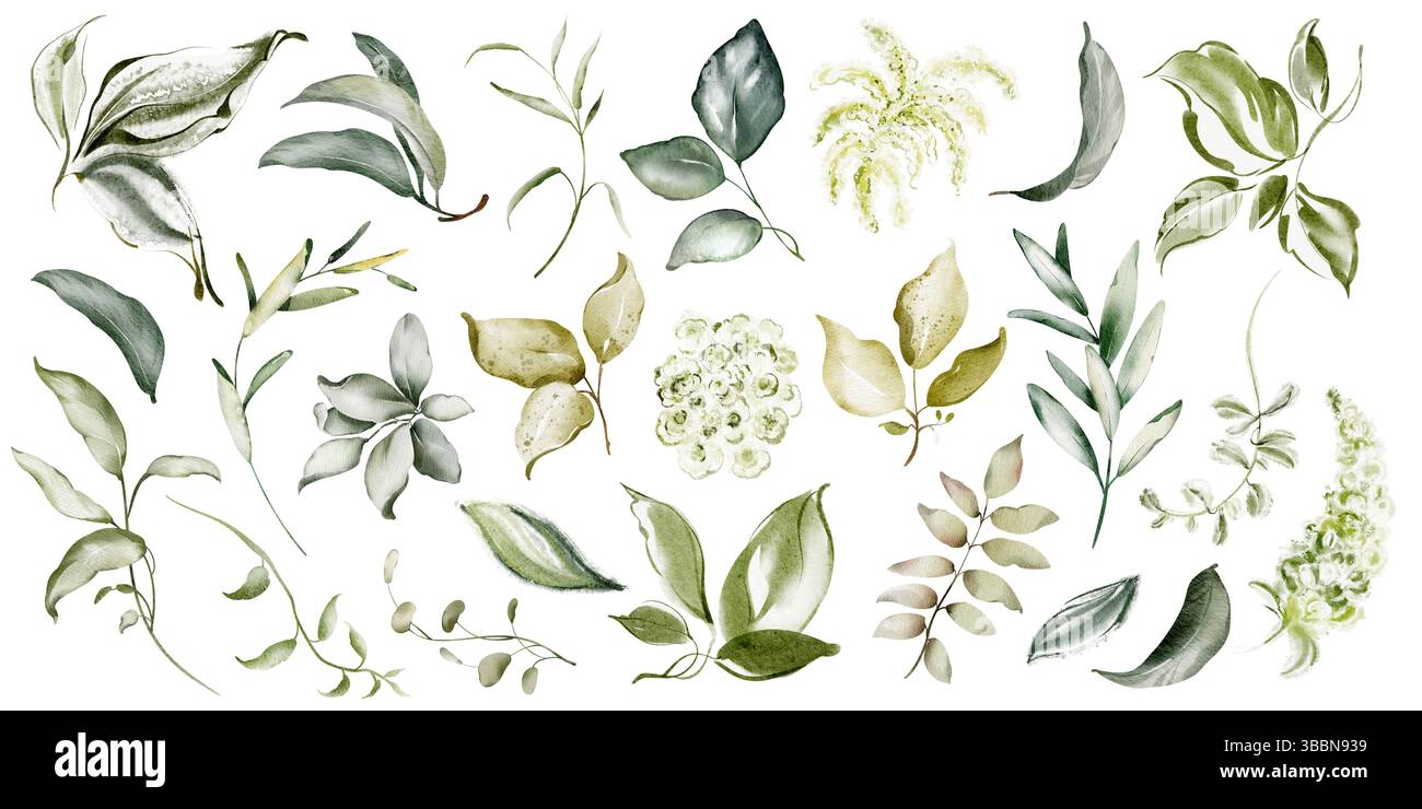Watercolor Greenery Clipart Set with Leaves, Branches and Herbs Stock ...