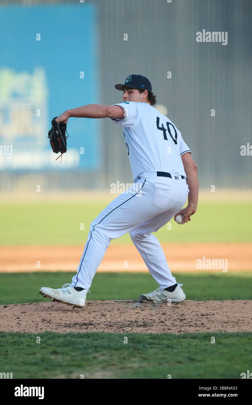 Asheville Tourists pitcher Matthew Linskey (40) delivers a pitch during ...