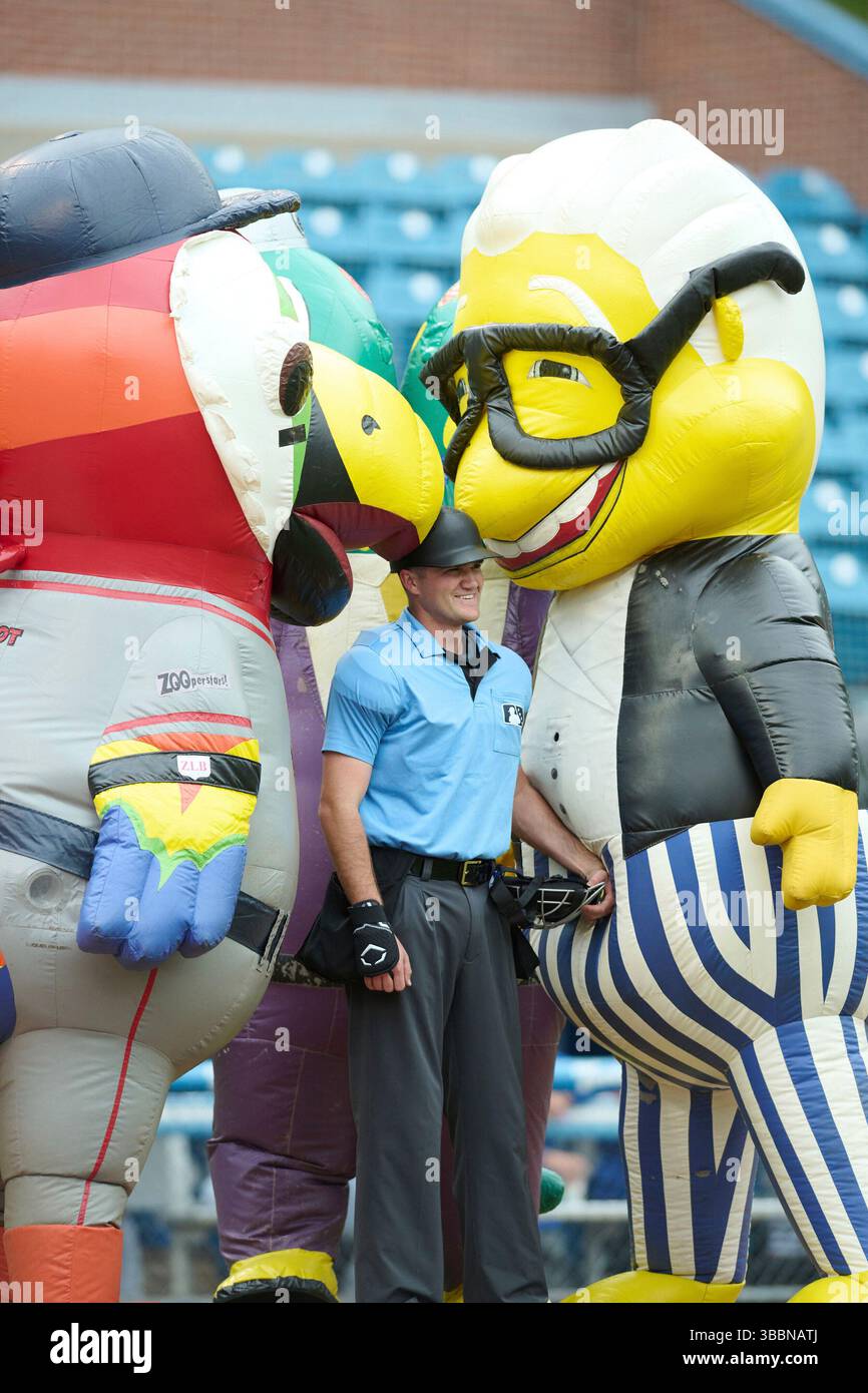 Zooperstars Nomar Garciaparrot and Harry Canary rough up home plate ...