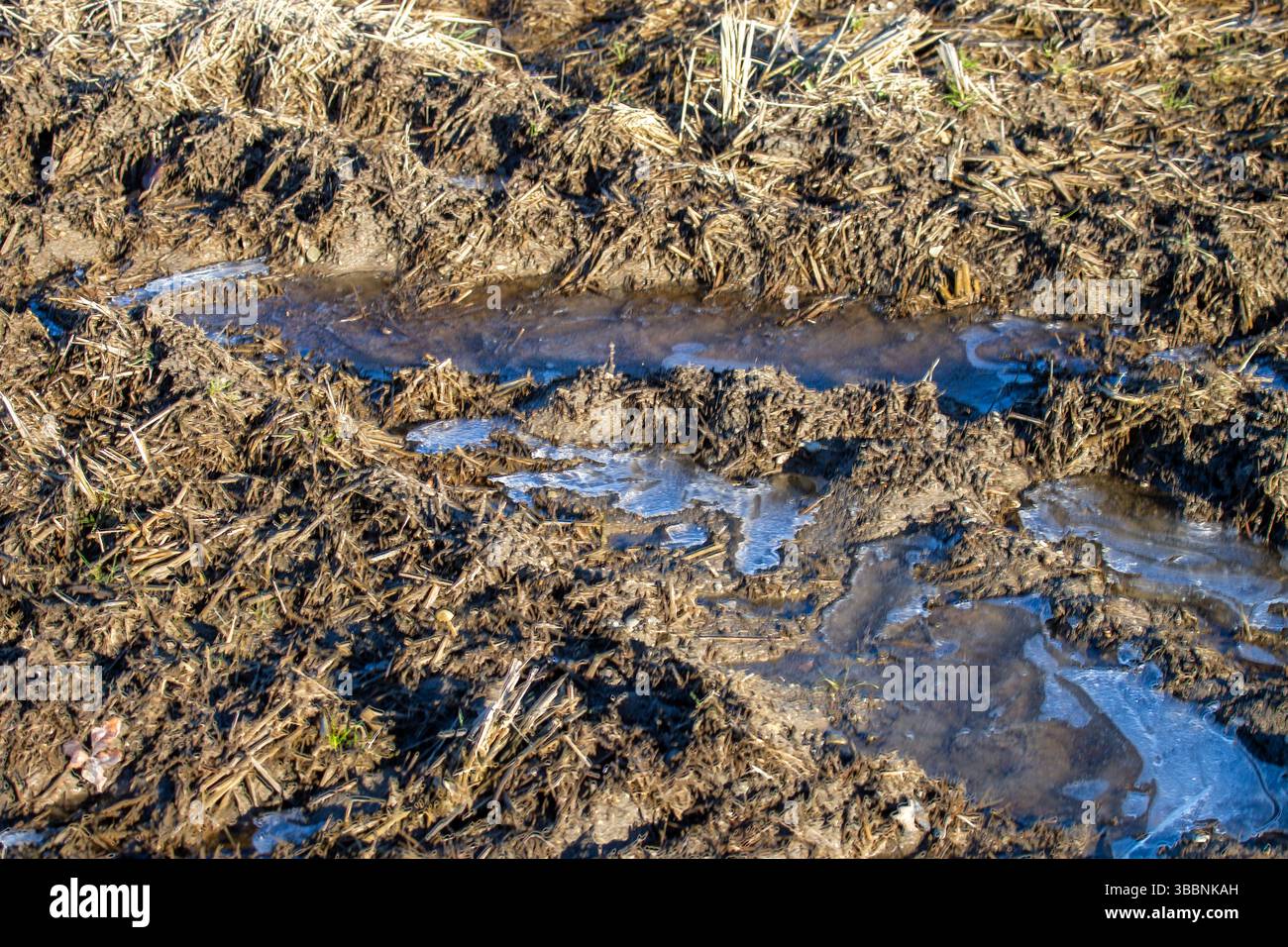 Frozen Ground Surface with Ice Patches in Rural Agricultural Field ...