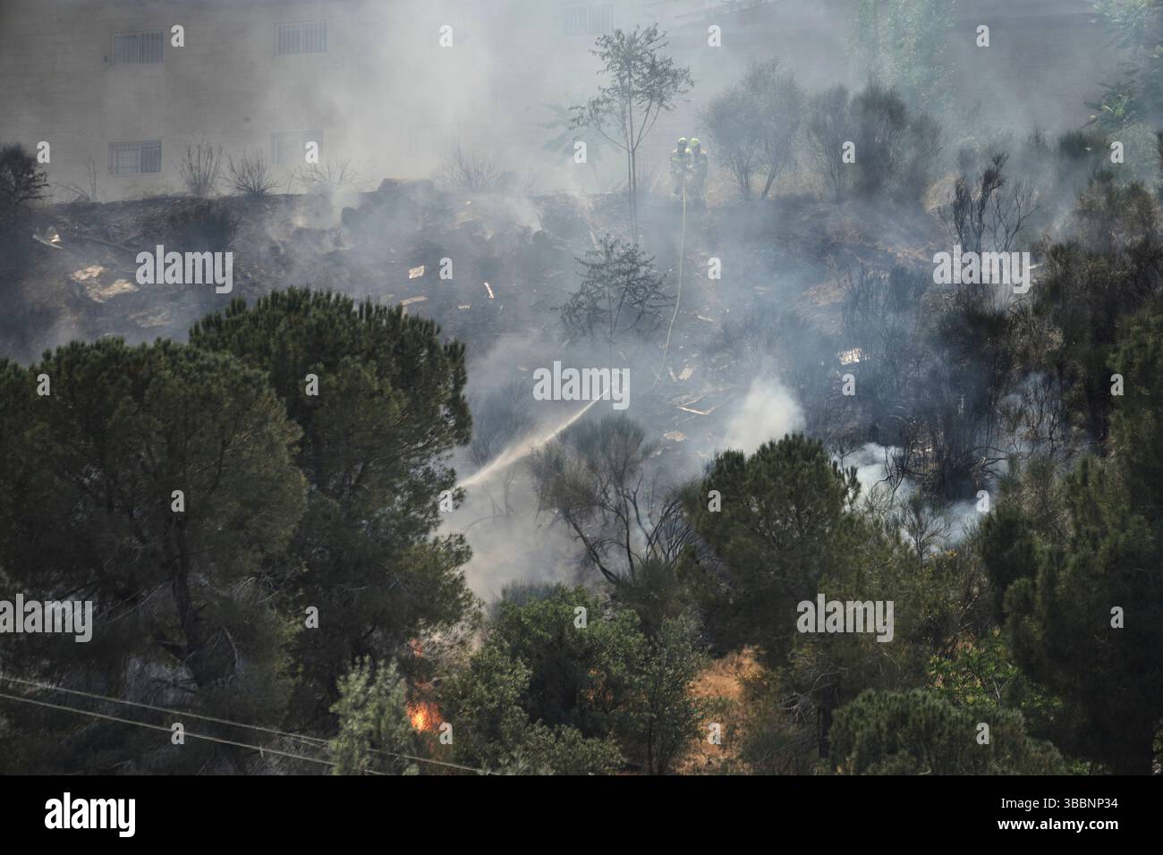 Israeli firefighters work to extinguish a fire at a forest in Jerusalem ...