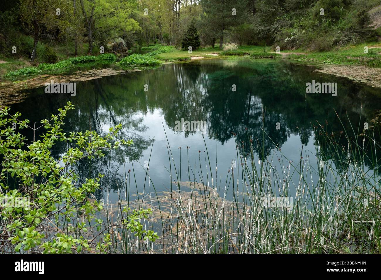 Muriel spring hi-res stock photography and images - Alamy