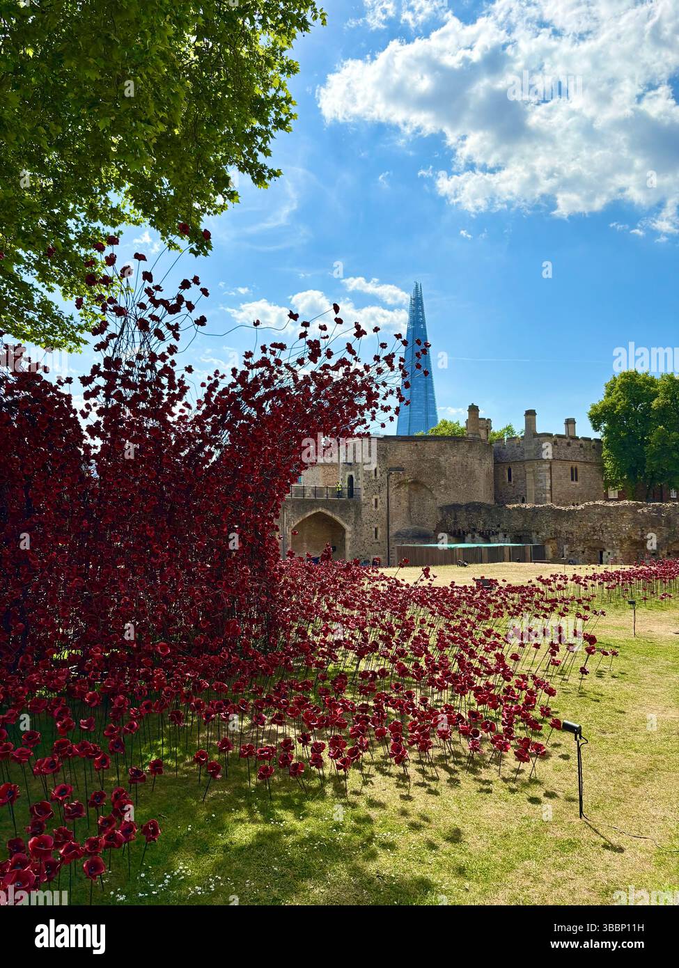 View from inside Tower of London grounds with poppy display and The ...