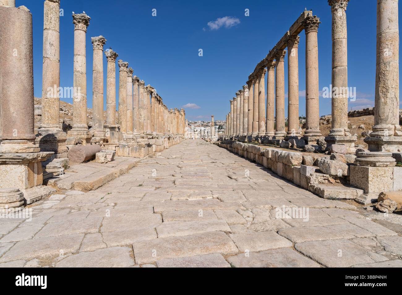 Columns line the Cardo Maximus, the main street to North Gate in Jerash ...